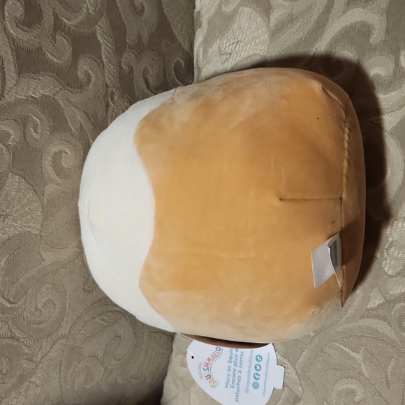 Squishmallows | Toys | Squishmallows Chanel Cinnamon Roll | Poshmark